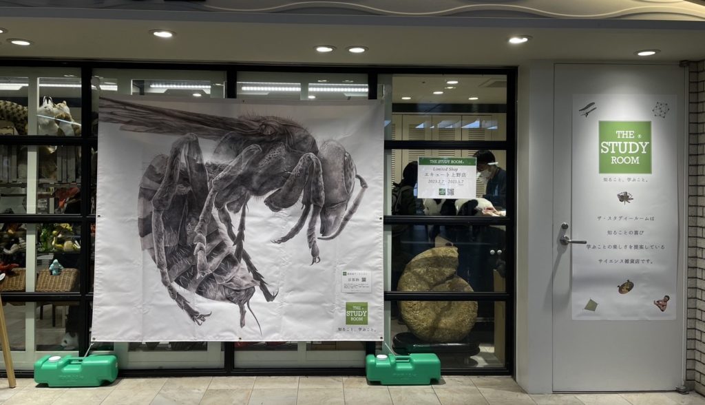 ザ・スタディールーム 上野駅店が期間限定で復活。ワクワクです | 昆虫食TAKEO｜通販から実店舗、製造、養殖、研究まで